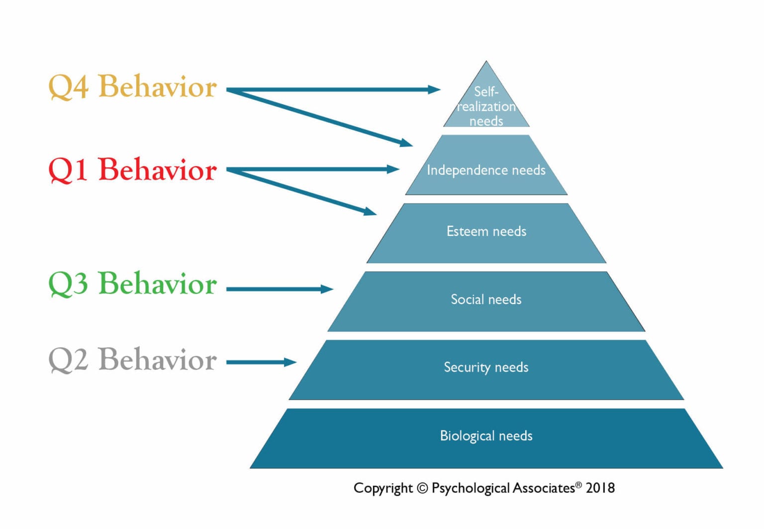 Mastering Precepting Book: Drs. Cindy & Robert Lefton Co-Author Chapter